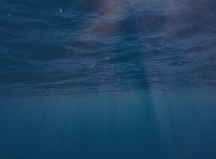 Website für den Open Factory Campus